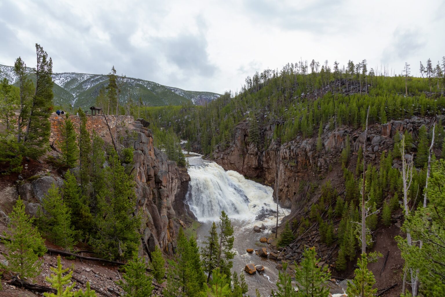 2 Day Yellowstone Safari: Upper & Lower Loop | Bozeman – Nature Seen